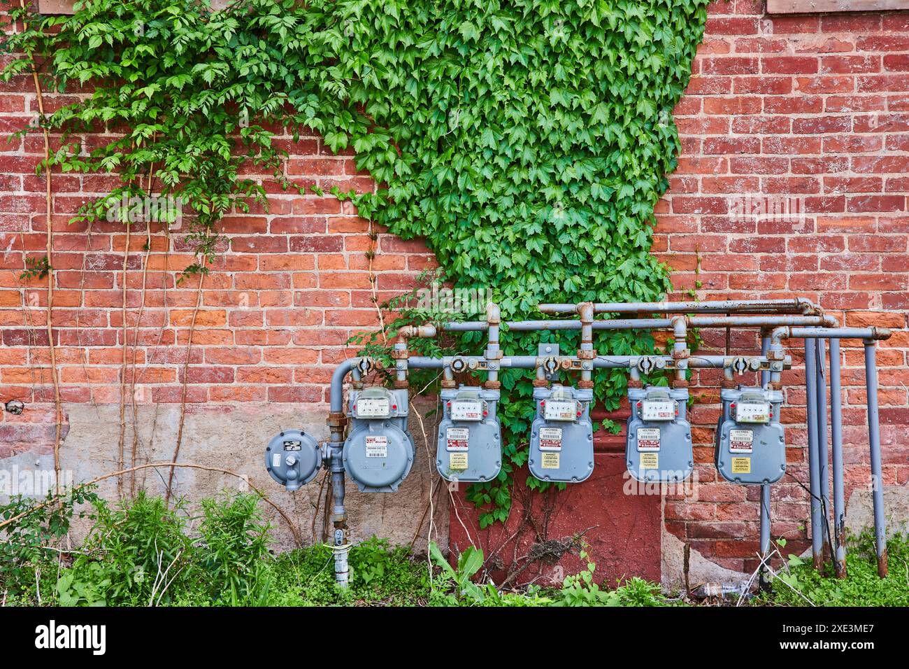 Urban Utility Meters on Brick Wall with Ivy at Eye Level Stock Photo ...