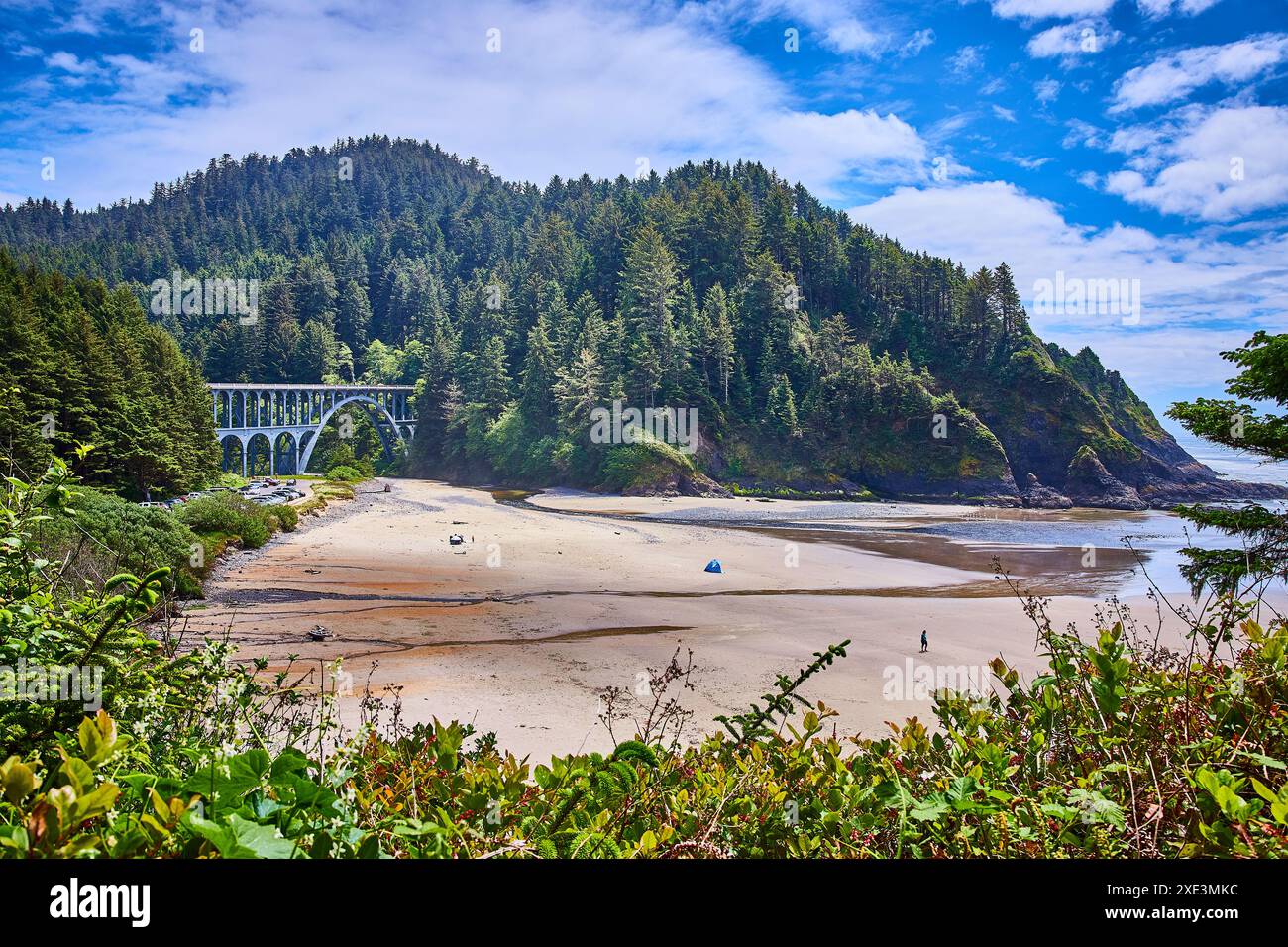 Aerial View of Oregon Coast Bridge and Beach with Evergreen Forest ...