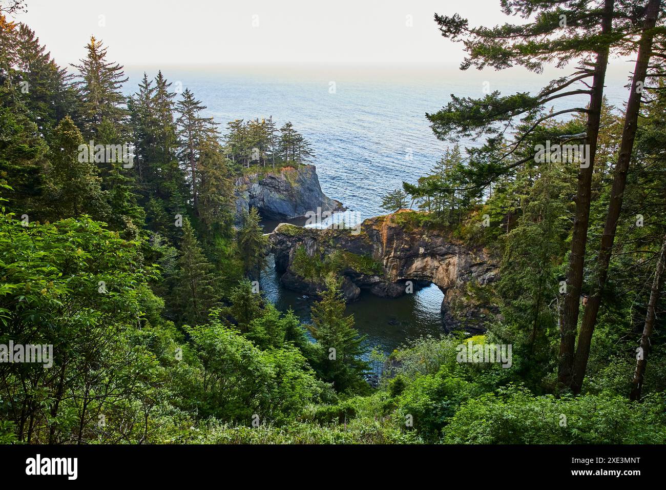 Aerial view cove pine trees hi-res stock photography and images - Alamy