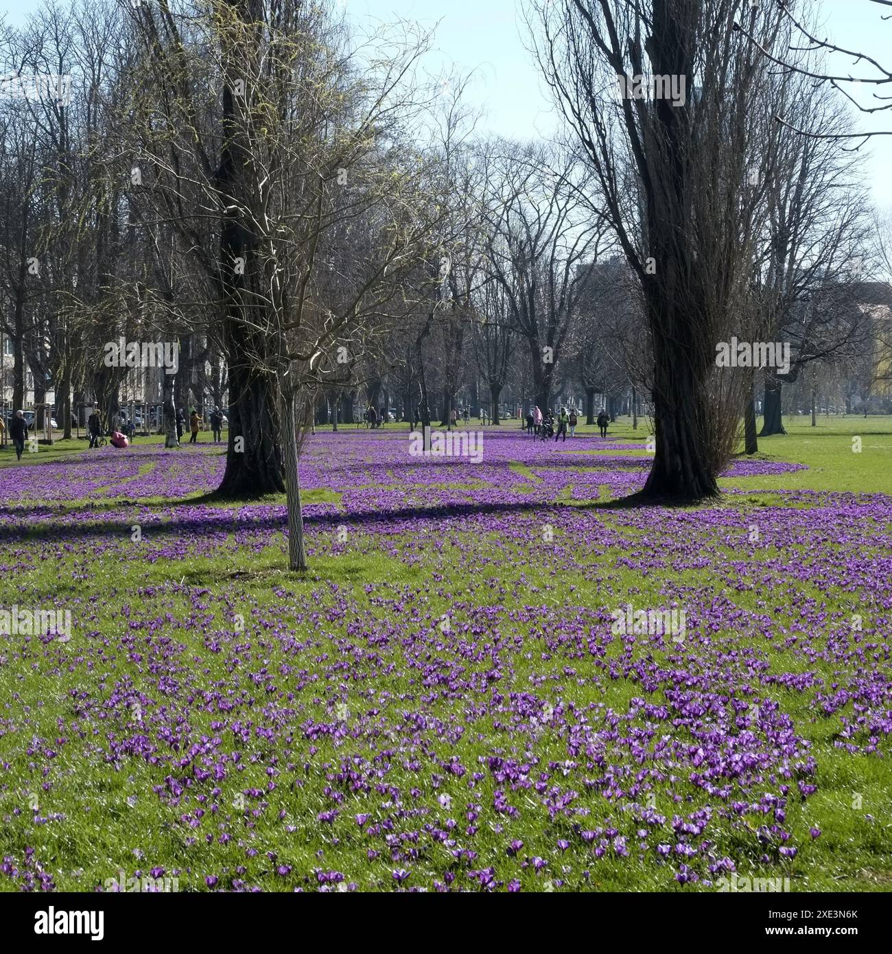 Pflanzstreifen hi-res stock photography and images - Alamy