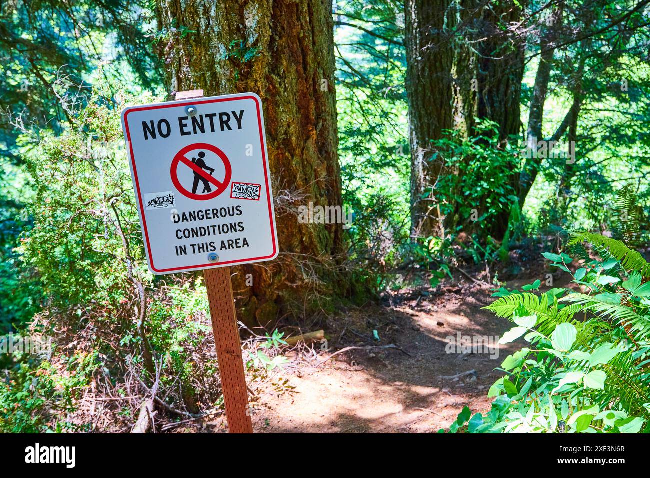 Warning Sign in Lush Forest Prohibiting Entry - Eye-Level Perspective ...