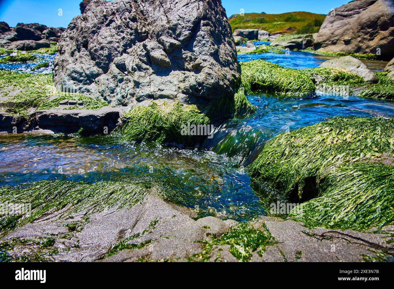 Coastal Rock Formation with Seaweed and Clear Water at Tide Pool Perspective Stock Photo - Alamy