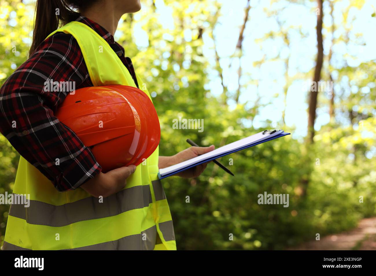 Forester with hard hat and clipboard examining plants in forest ...