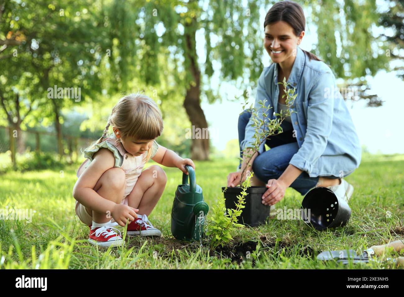 Mother and her daughter planting tree together in garden Stock Photo ...