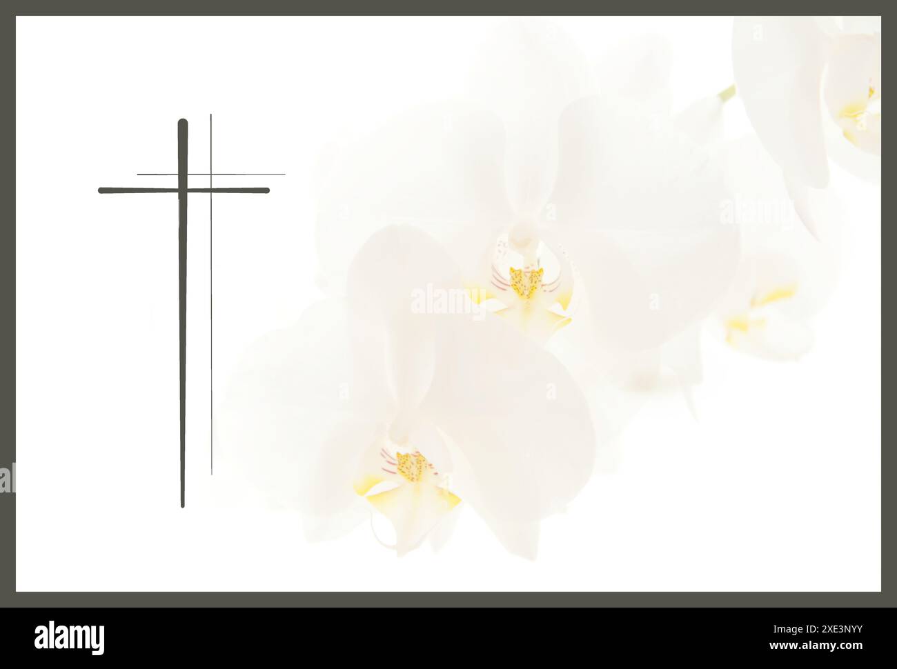 Funeral flower Condolence card. frame with white Moon orchids and a ...