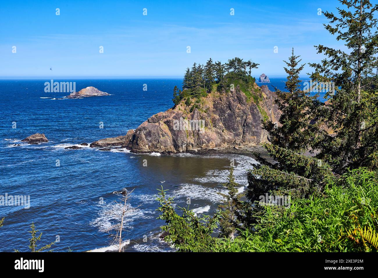 Rugged Cliff and Evergreen Trees Overlooking Ocean from Elevated View ...