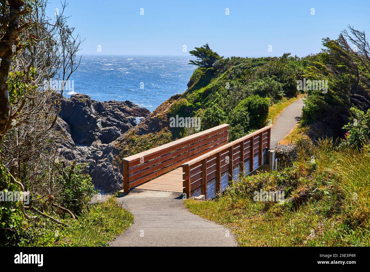 Coastal Pathway and Wooden Bridge by Blue Ocean in Chetco Point Park ...