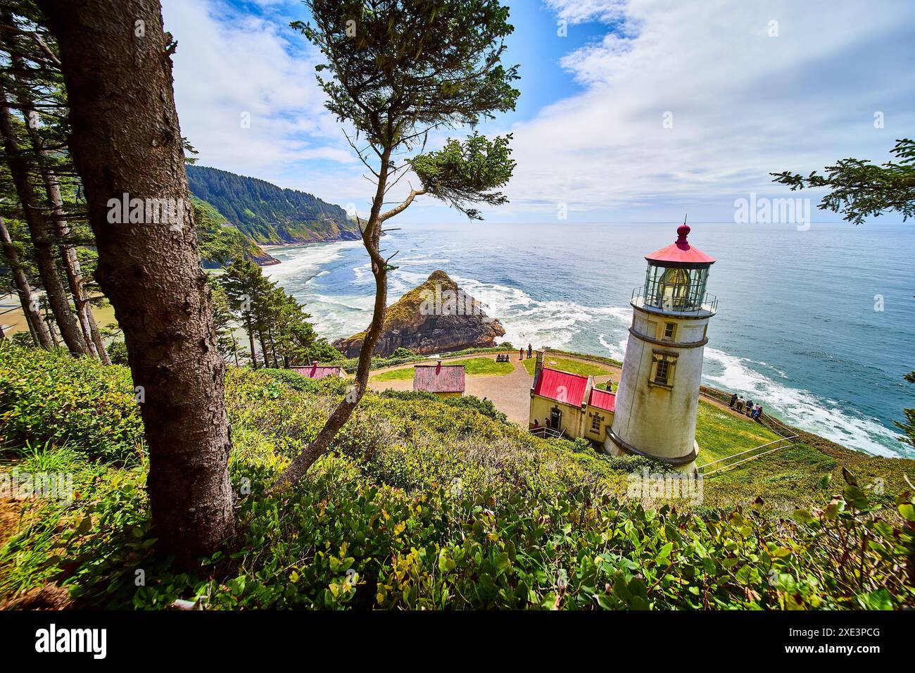 Heceta Head Lighthouse Oregon Coast Scenic Cliff View Stock Photo - Alamy