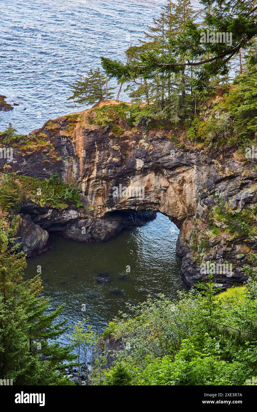 Aerial View of Natural Arch in Rugged Coastal Forest Stock Photo - Alamy