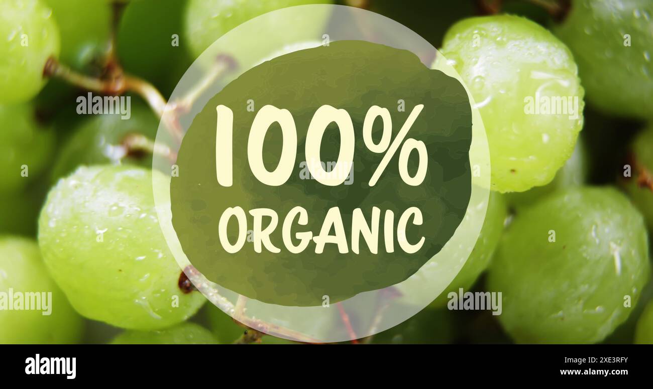 Image of 100 percent organic text banner against close up of green ...