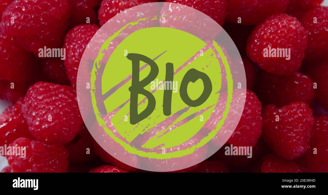 Bio text banner hi-res stock photography and images - Alamy