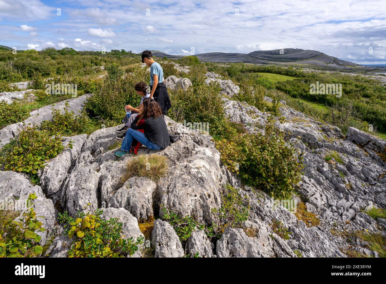 Burren path hi-res stock photography and images - Alamy