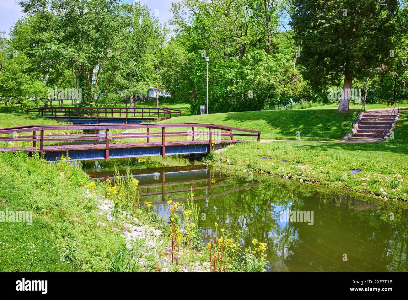 Rustic Red Bridge over Serene Pond in Lush Park at Eye Level Stock ...