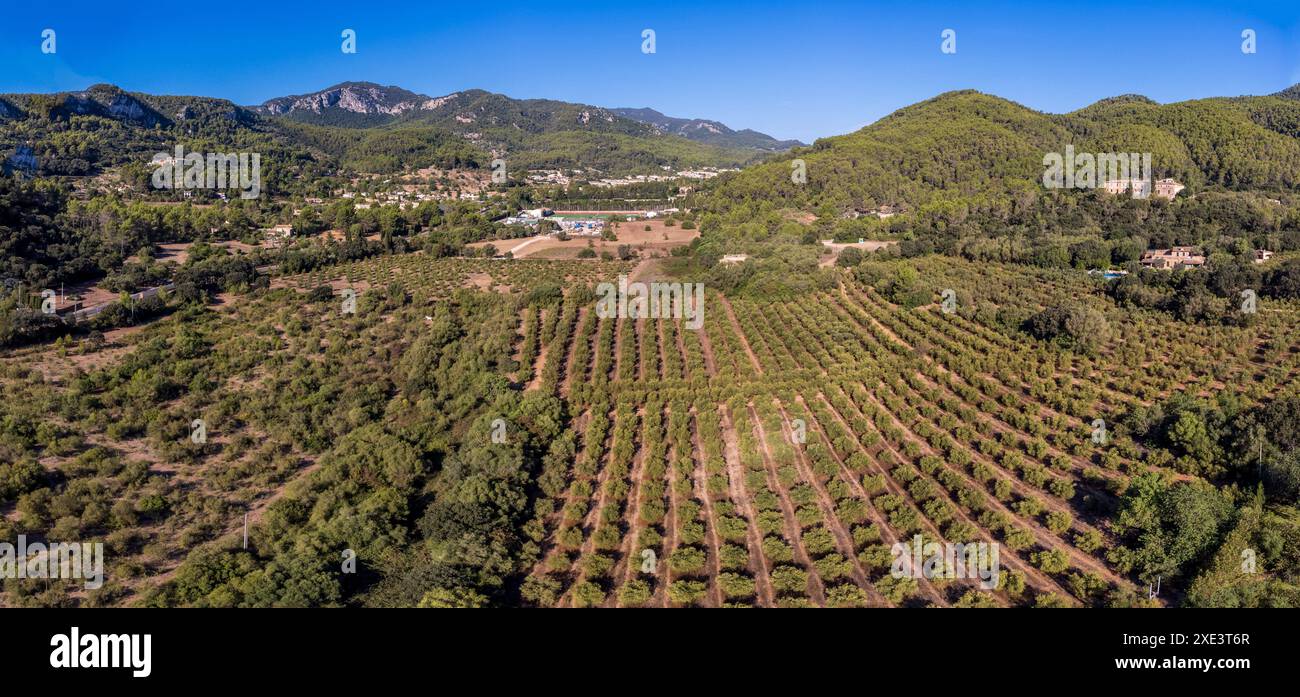 Historical groves hi-res stock photography and images - Alamy