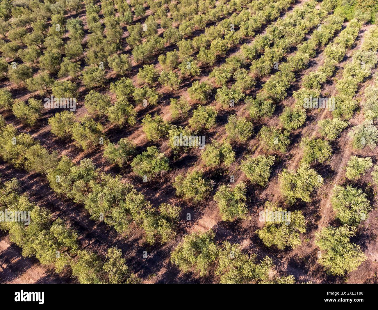 Aerial view park production plant hi-res stock photography and images ...