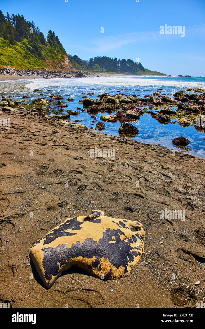 Pacific Northwest Tide Pools and Sandy Beach at Eye-Level Perspective ...