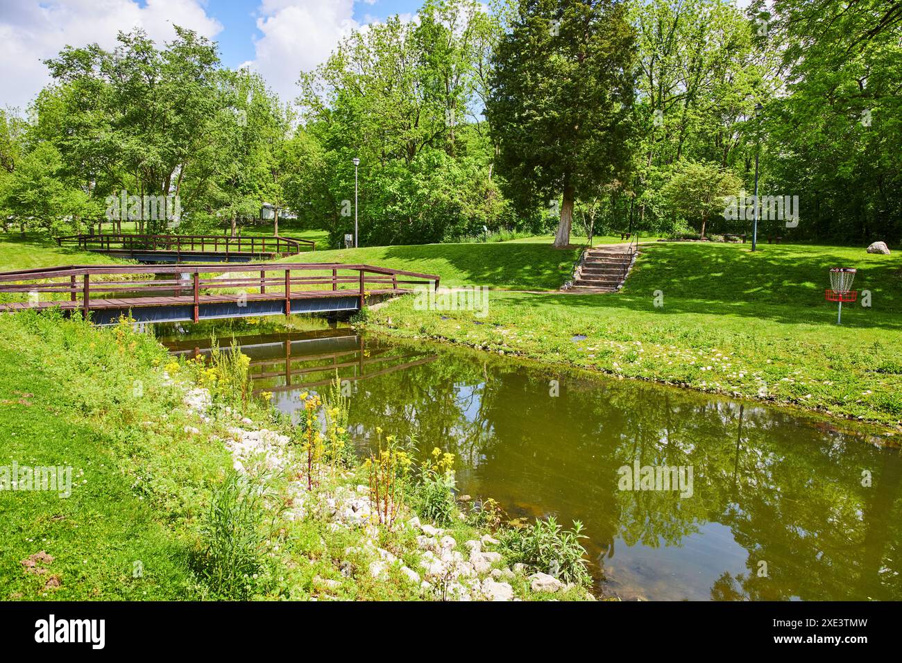 Reflective Pond and Wooden Bridge in Lush Park Eye-Level View Stock ...