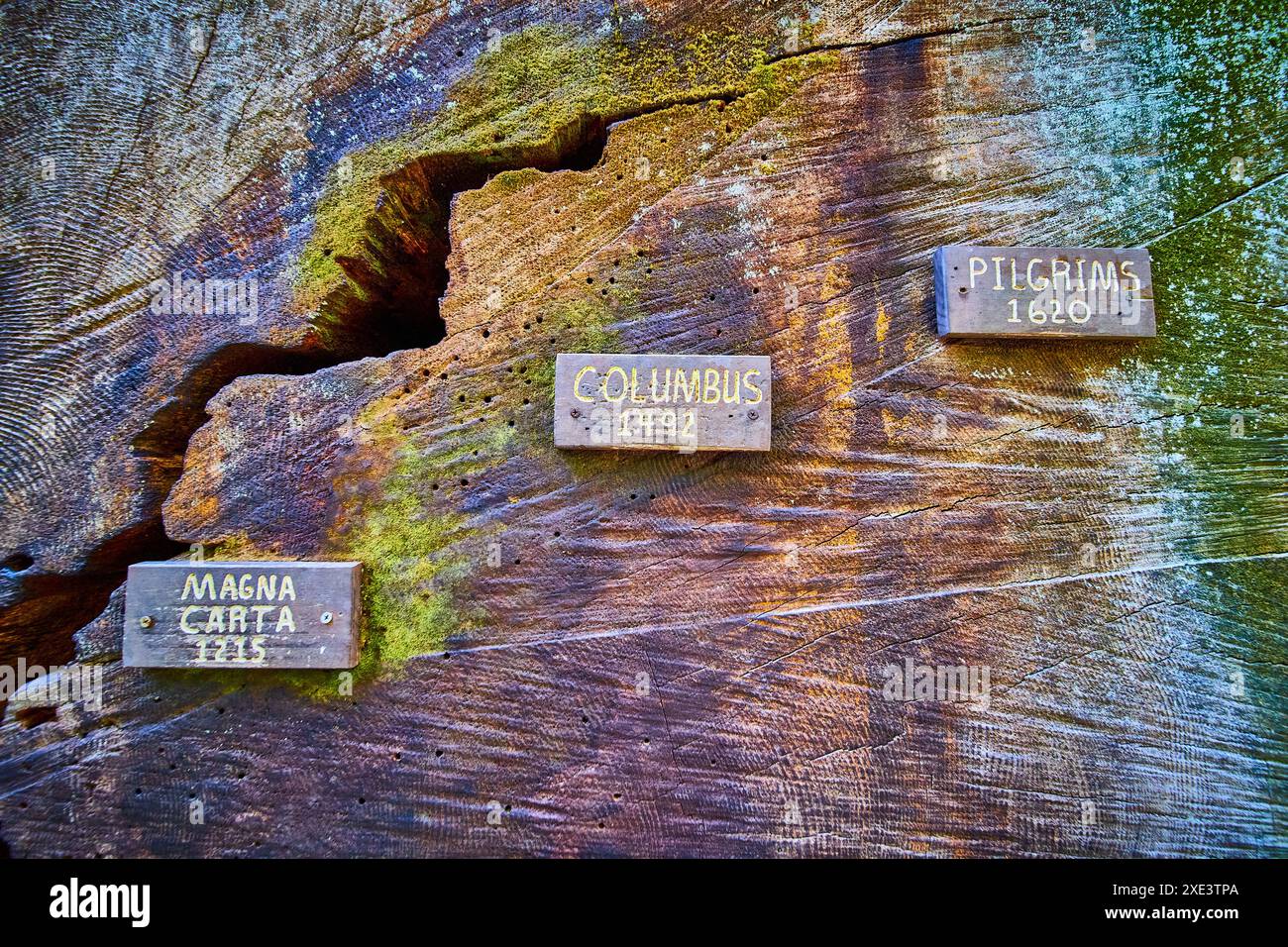 Historical education setting hi-res stock photography and images - Alamy