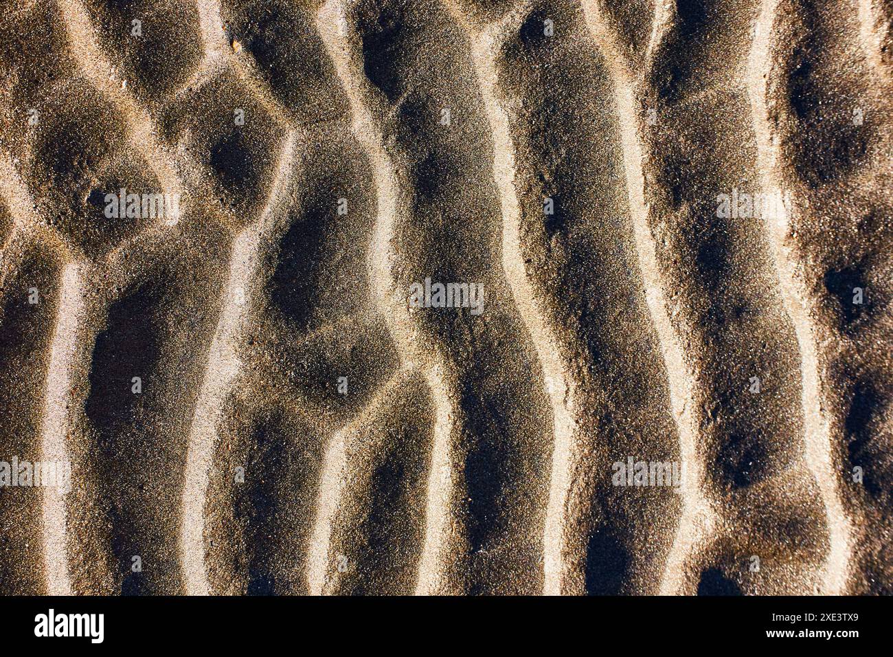 Wave sculpted ripples hi-res stock photography and images - Alamy