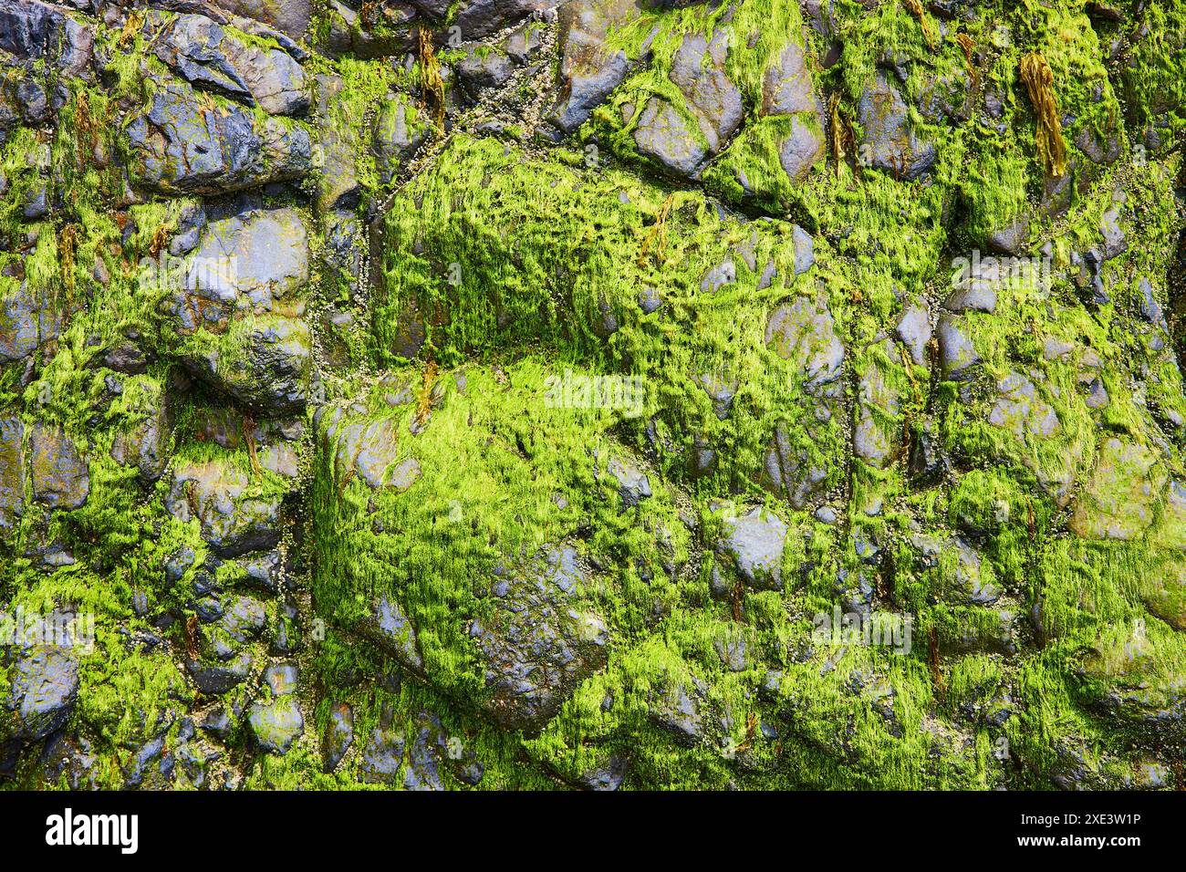 Rugged moss covered mountain hi-res stock photography and images - Alamy