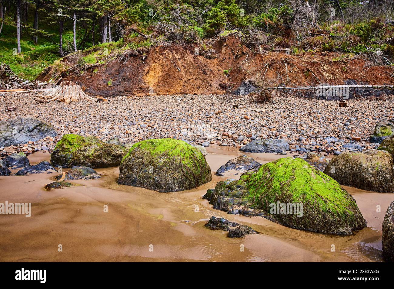 Mossy Rocks and Rugged Cliff Face on Indian Beach at Eye Level Stock ...