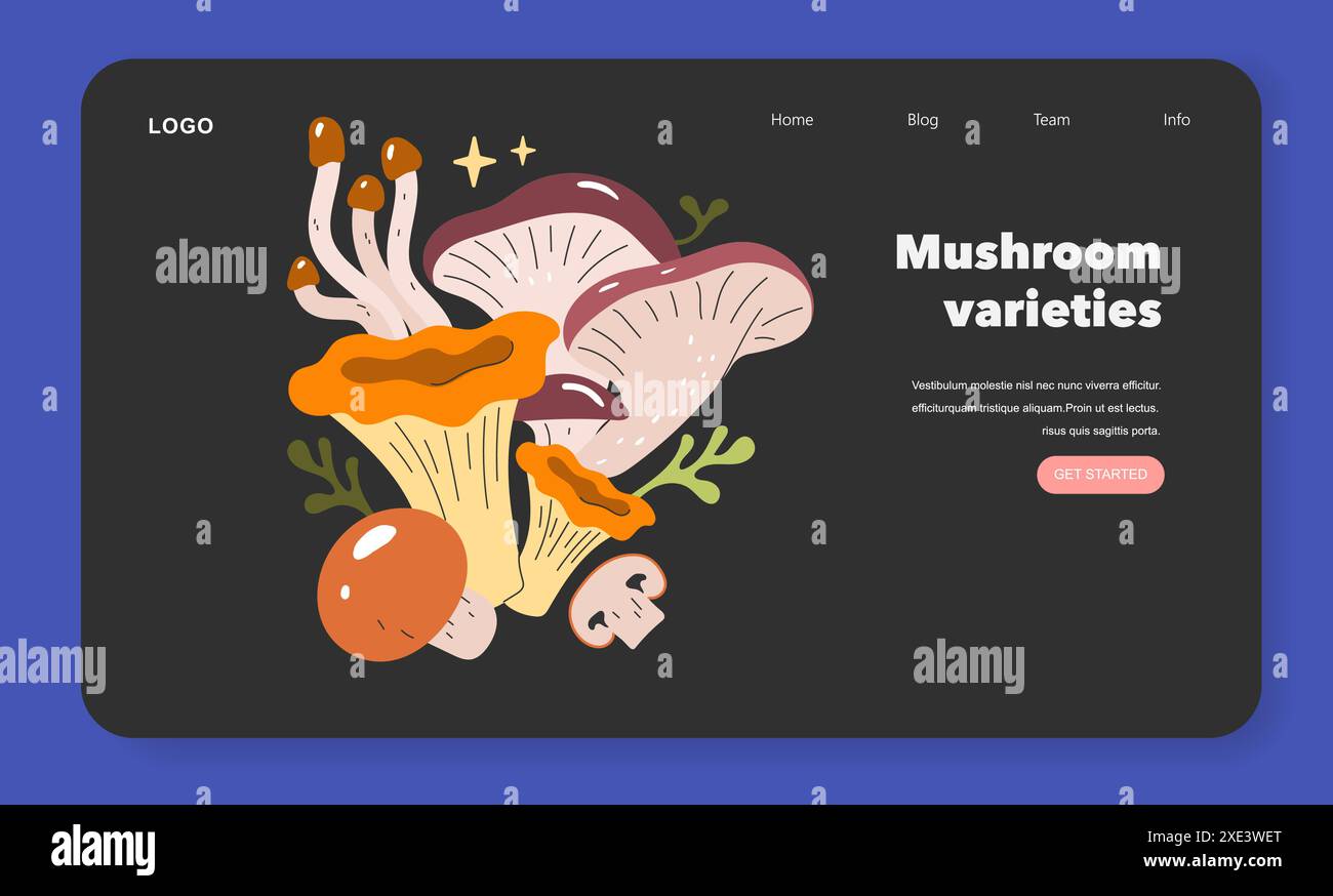 Emerging Ingredients concept. Diverse types of mushrooms presented on a ...