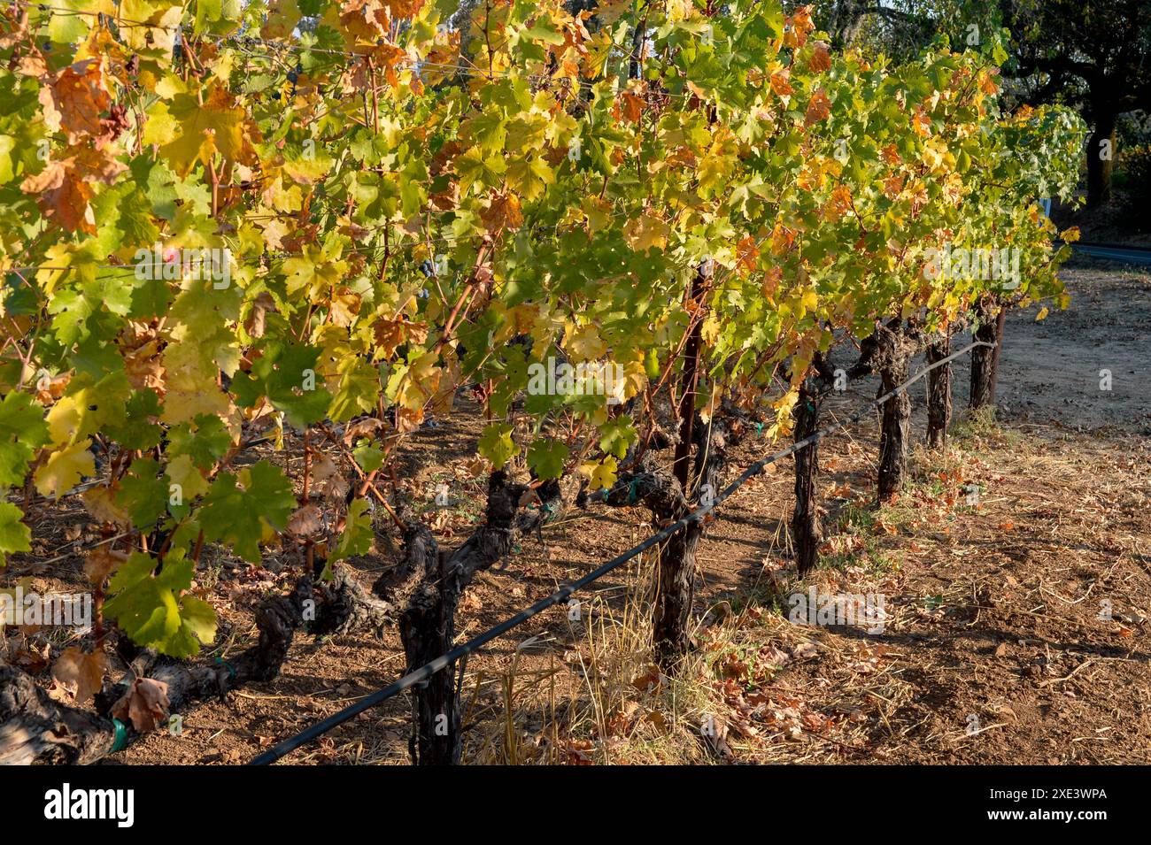 Napa Valley's boutique wineries produce some of the world's best wines ...