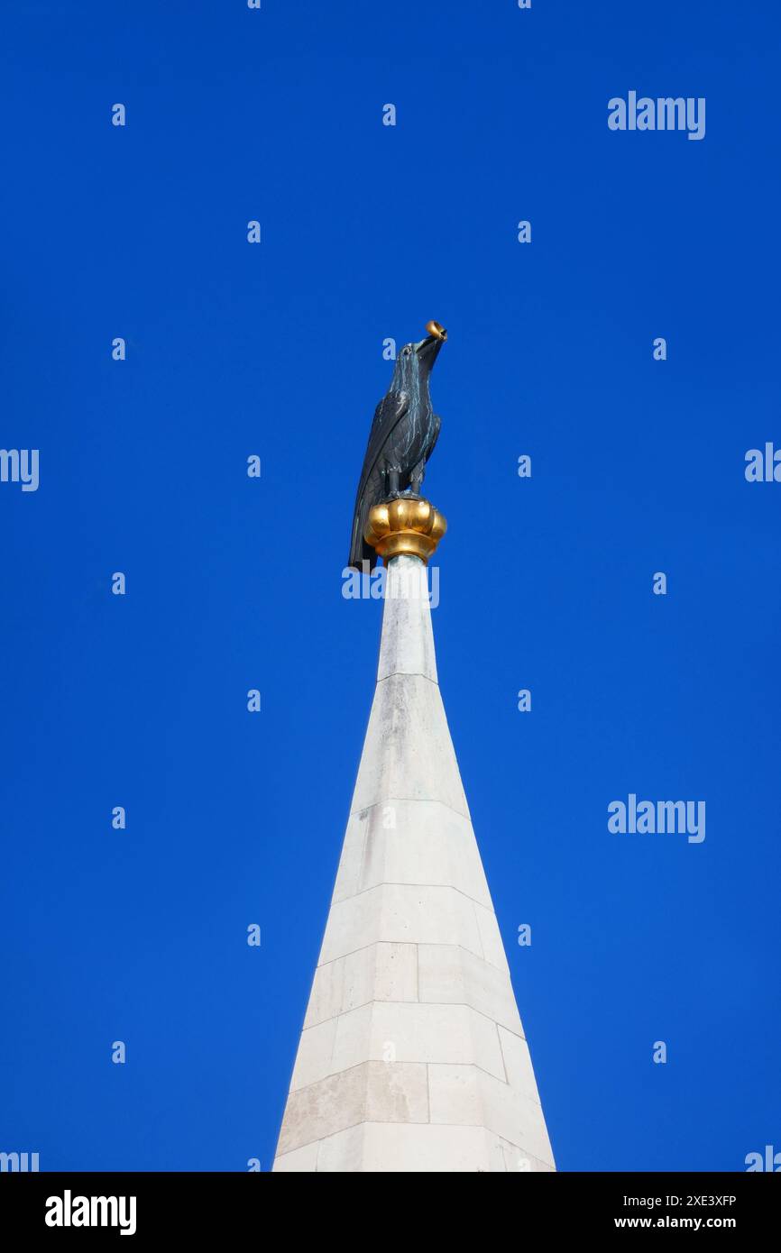 Raven with a golden ring on matthias church in bud hi-res stock ...