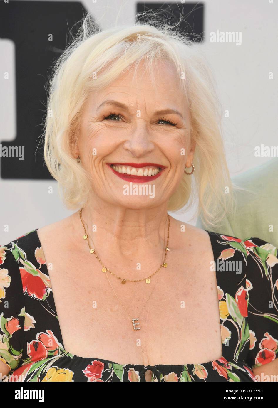 LOS ANGELES, CALIFORNIA - JUNE 24: Elizabeth Dennehy attends the US ...