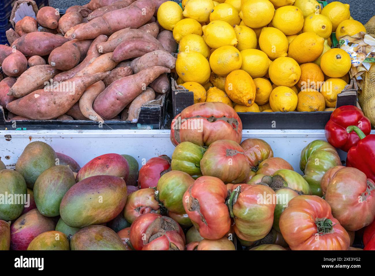 Mango, tomatoes and other fruits and vegetables for sale at a market ...