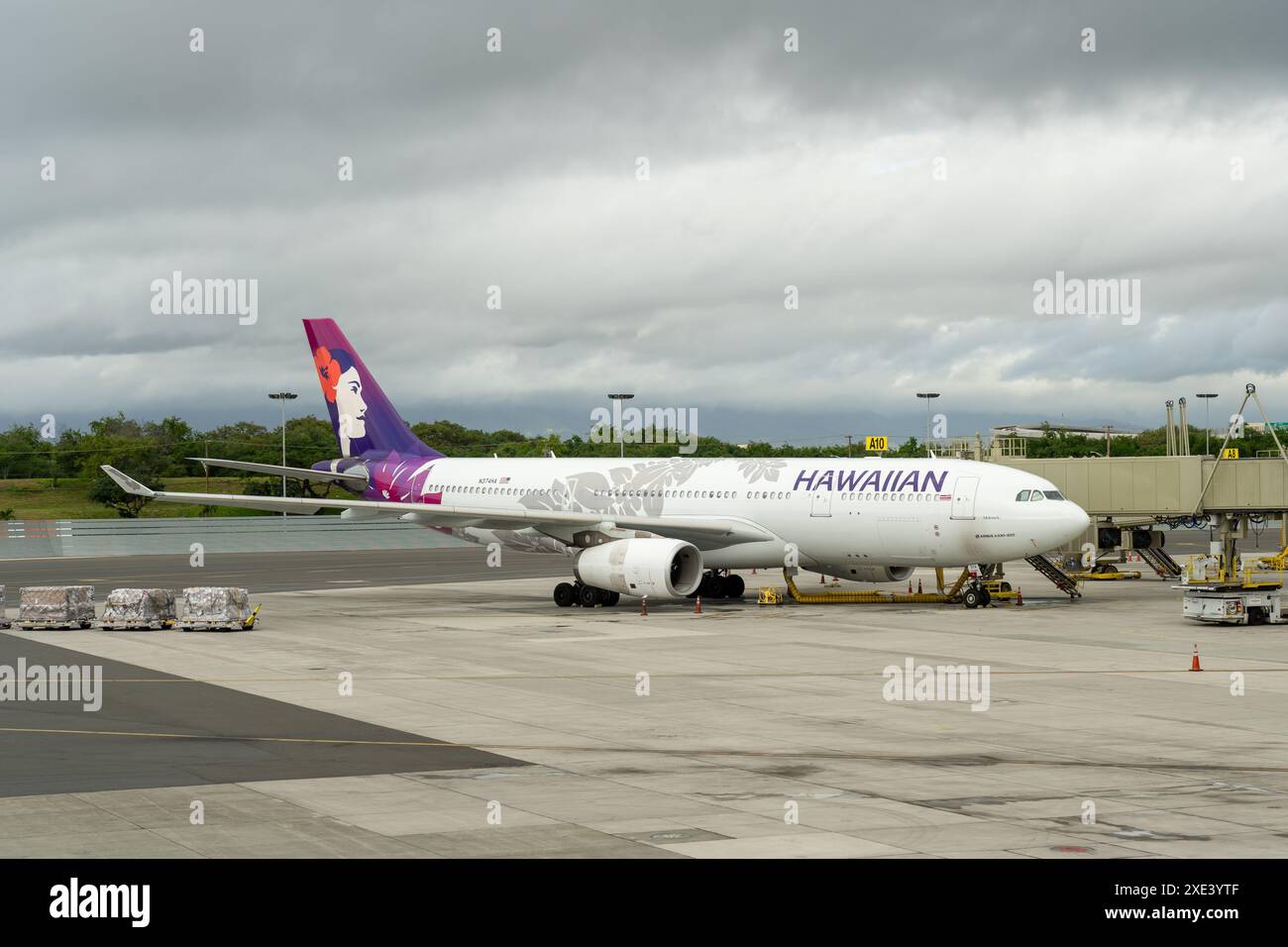 Honolulu, Hawaii, USA - January 16, 2024: A Hawaiian Airlines airplane ...