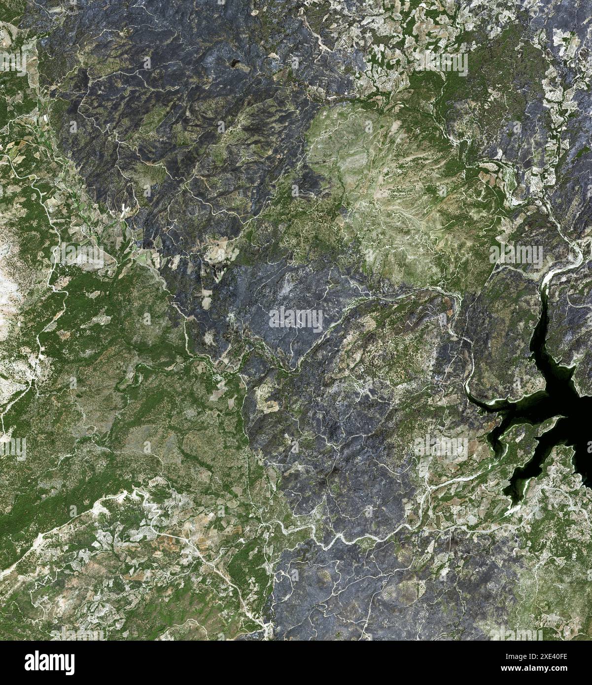 Satellite image of scorched earth after fires in Rhodes, Greece. Image ...