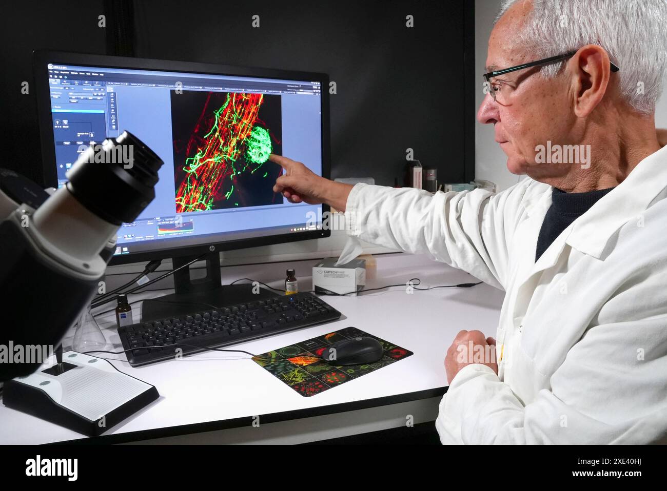 Editorial use only Scientists pointing to a fluorescence micrograph of ...