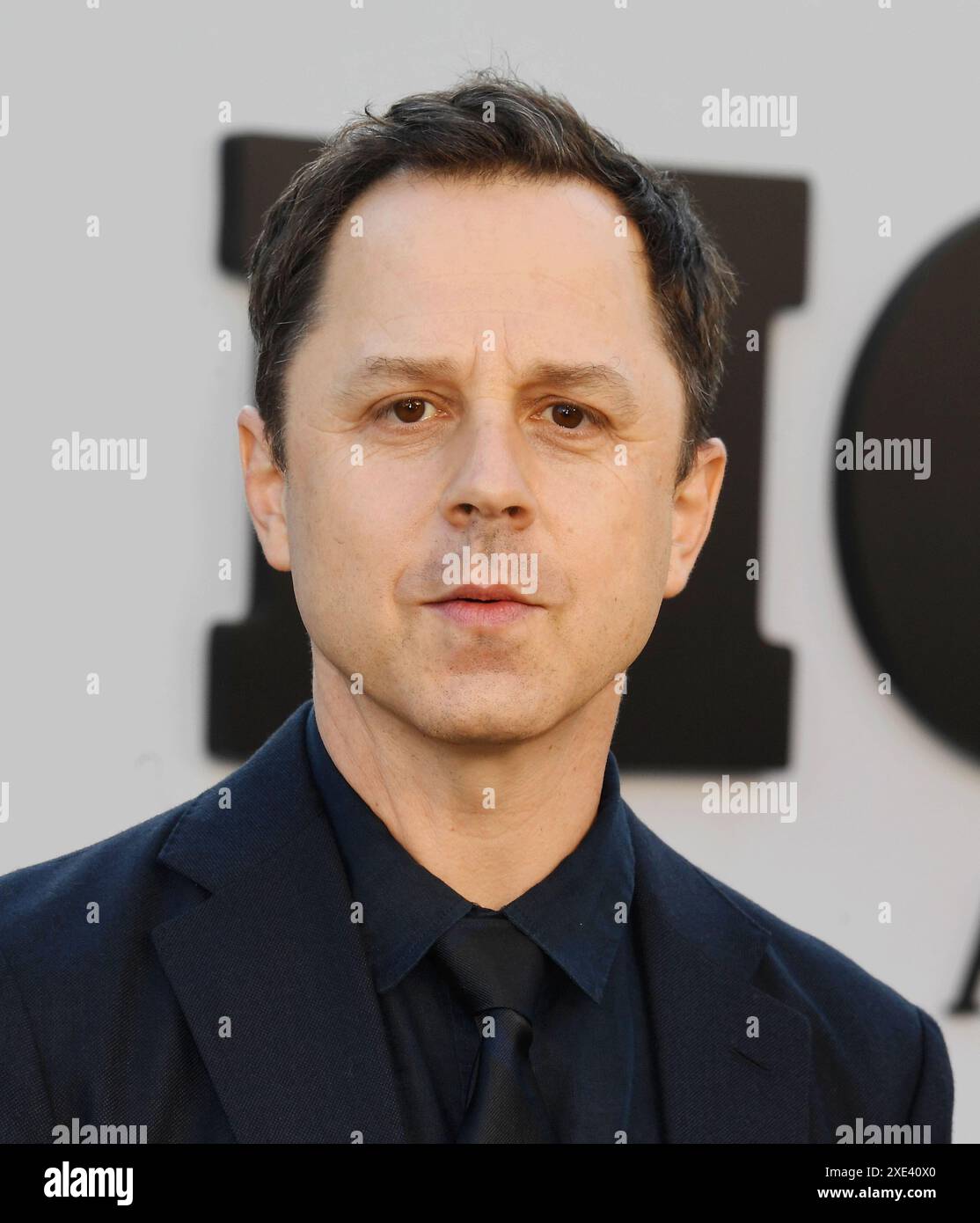 LOS ANGELES, CALIFORNIA - JUNE 24: Giovanni Ribisi attends the US ...