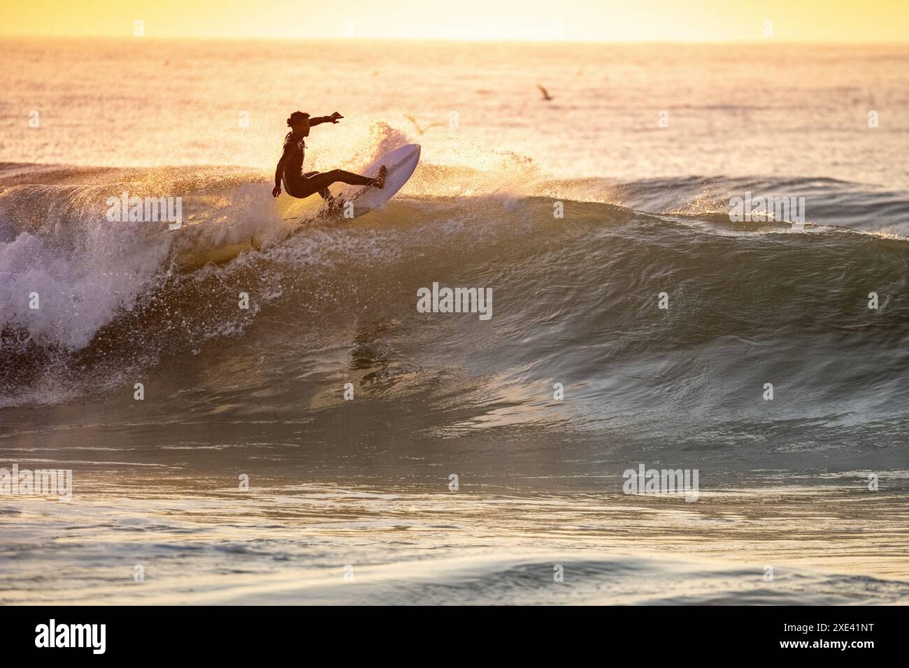 Young surfer enjoying waves Stock Photo - Alamy