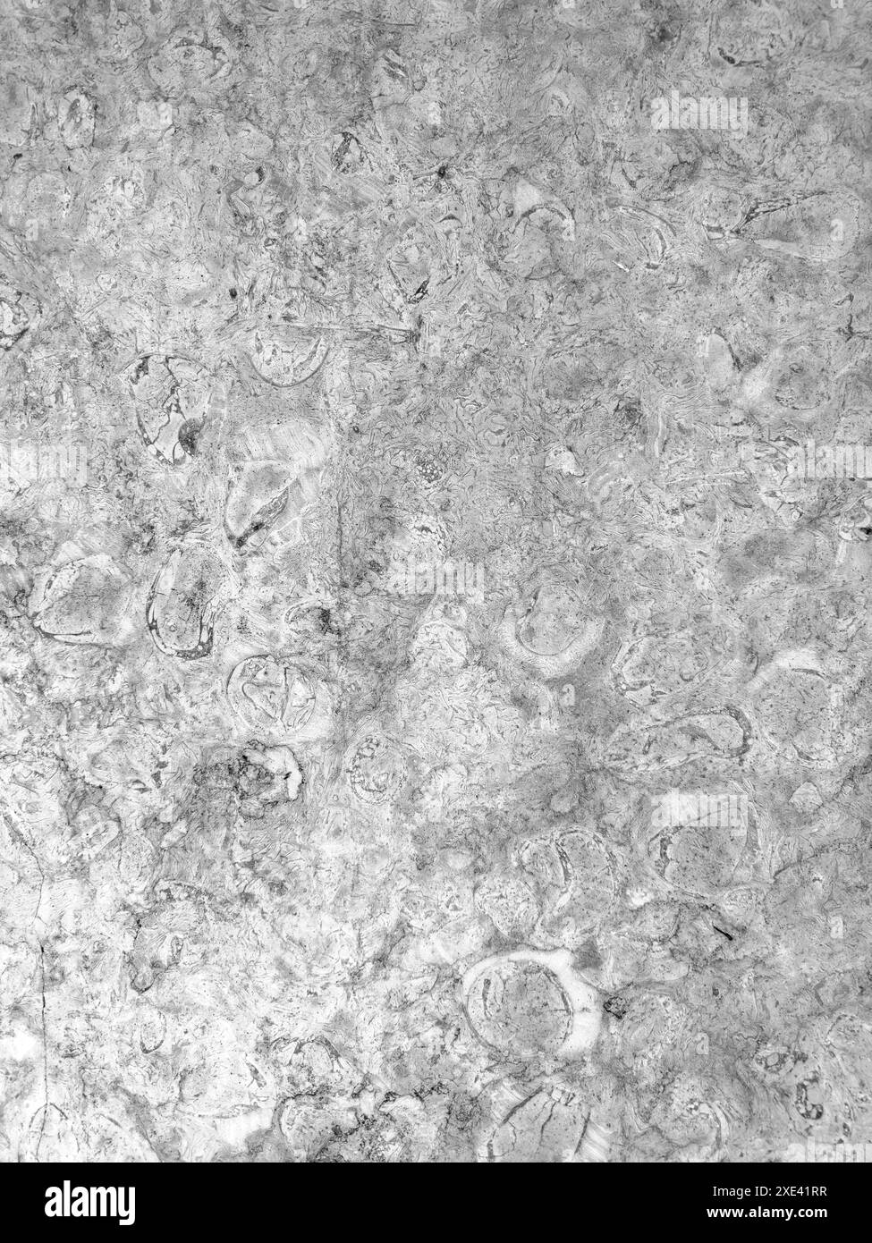 Scratch texture distress Black and White Stock Photos & Images - Alamy