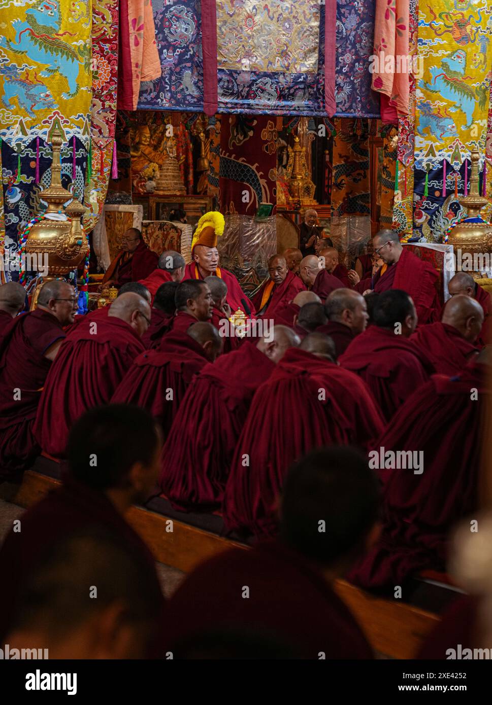 (240626) -- LHASA, June 26, 2024 (Xinhua) -- Jamyang Takhe from Qamdo's ...