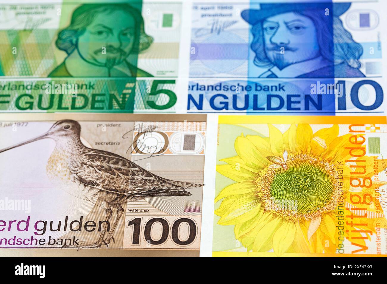 Dutch guilder a business background Stock Photo - Alamy