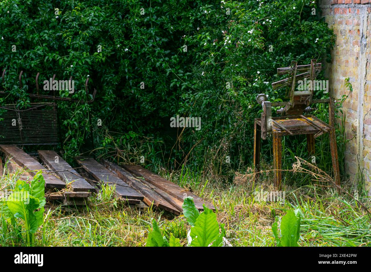 Timber cutter hi-res stock photography and images - Alamy