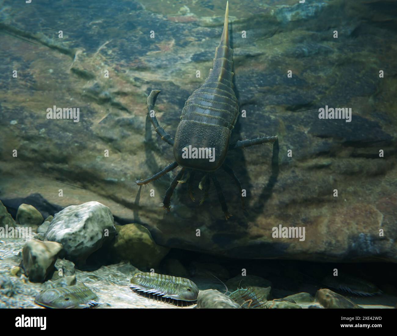 An illustration of the extinct eurypterid Kokomopterus hunting ...