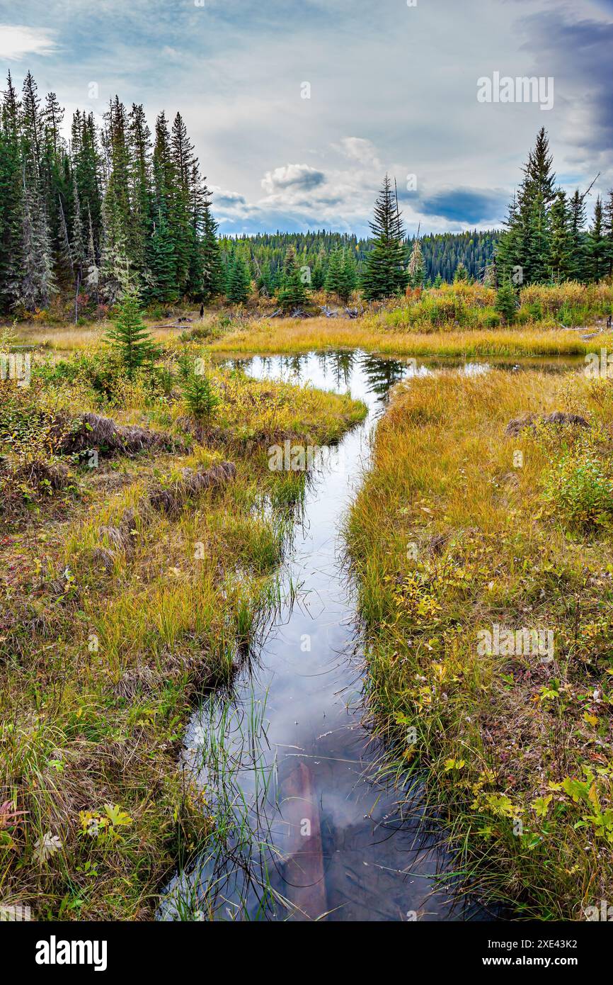 Narrow channels of a lake Stock Photo - Alamy