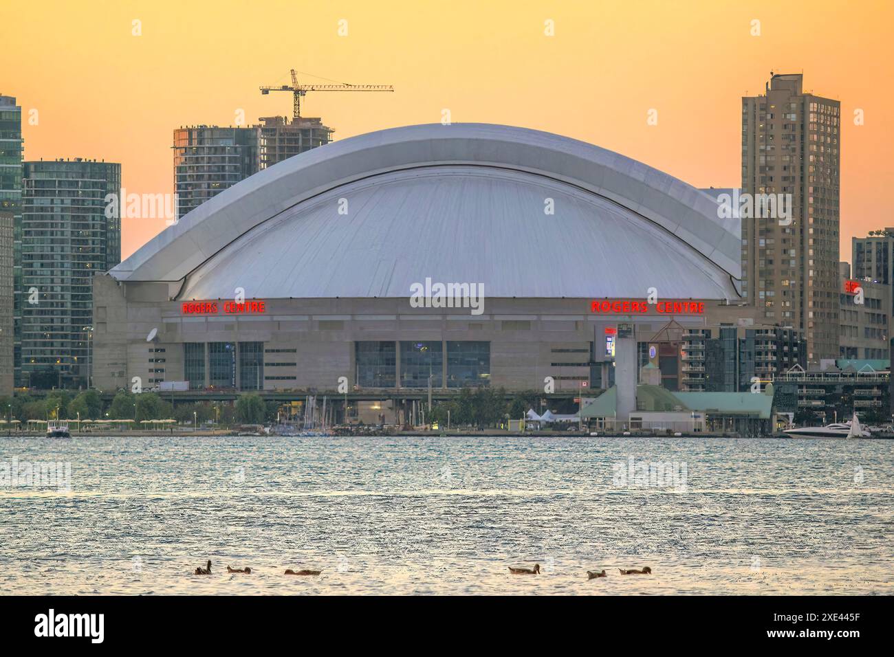 Toronto bluejays stadium hi-res stock photography and images - Alamy