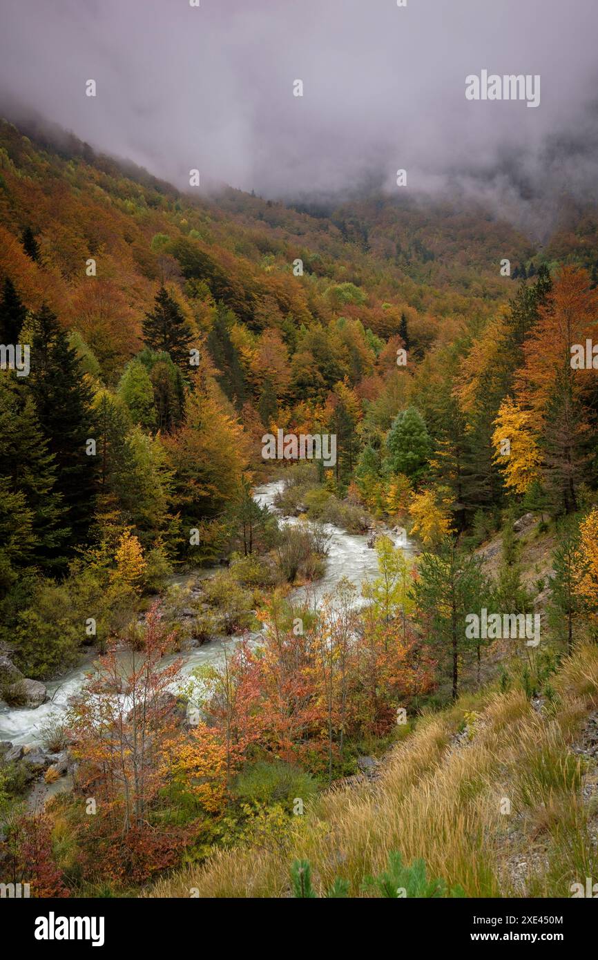 Green corridor of the river Veral Stock Photo - Alamy
