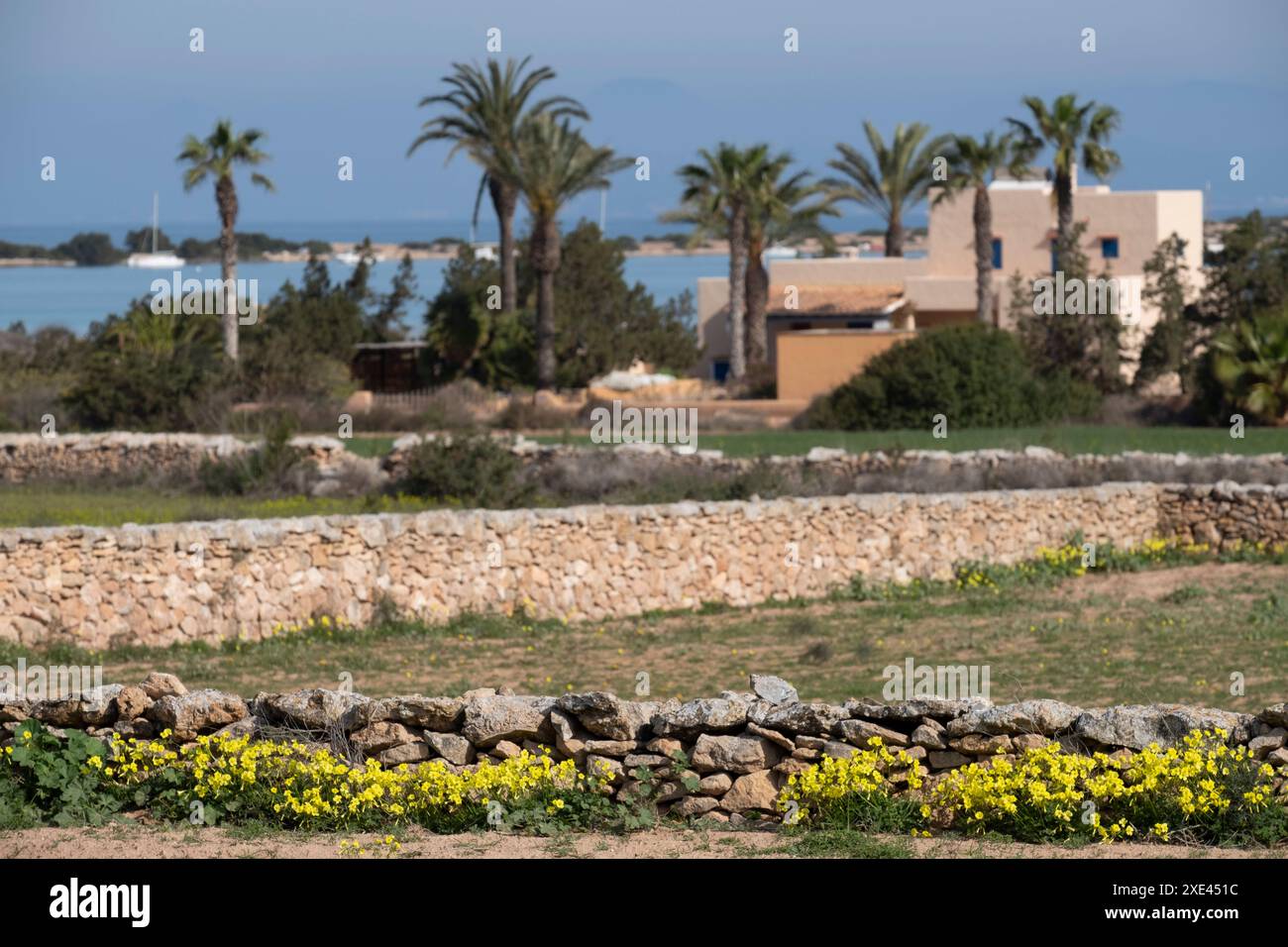 Traditional stone walls for agricultural land Stock Photo - Alamy