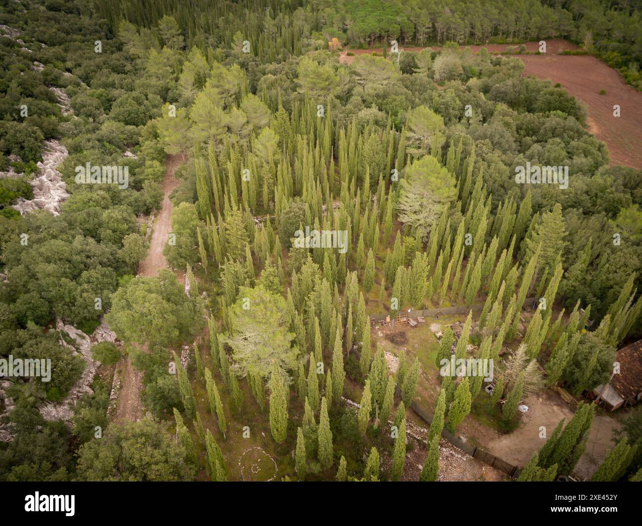 Lapiaz erosion hi-res stock photography and images - Alamy