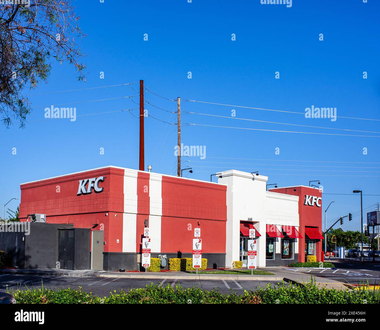 Chicken store hi-res stock photography and images - Alamy