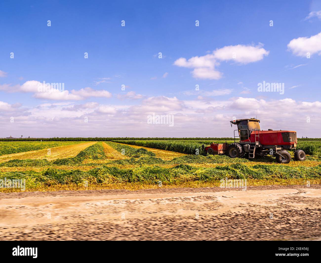 Swather windrower mowing hay hi-res stock photography and images - Alamy