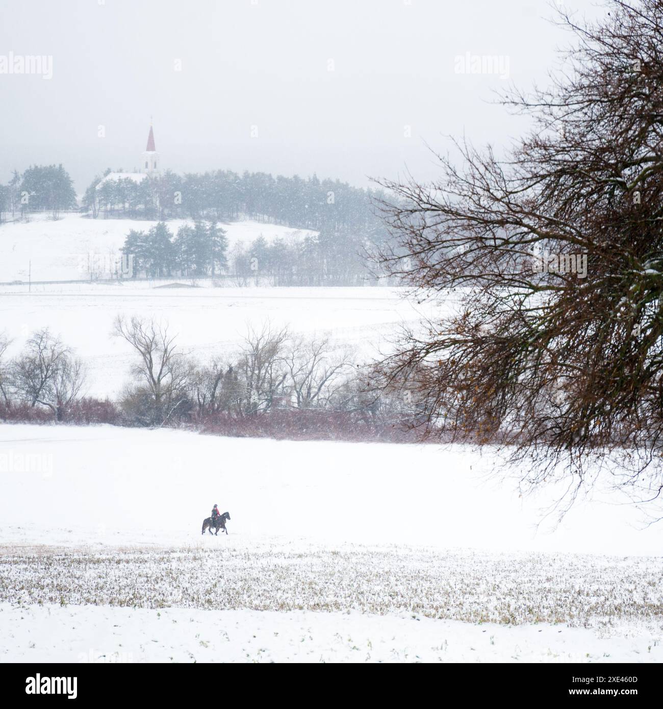Riding quarter horses in winter Stock Photo - Alamy