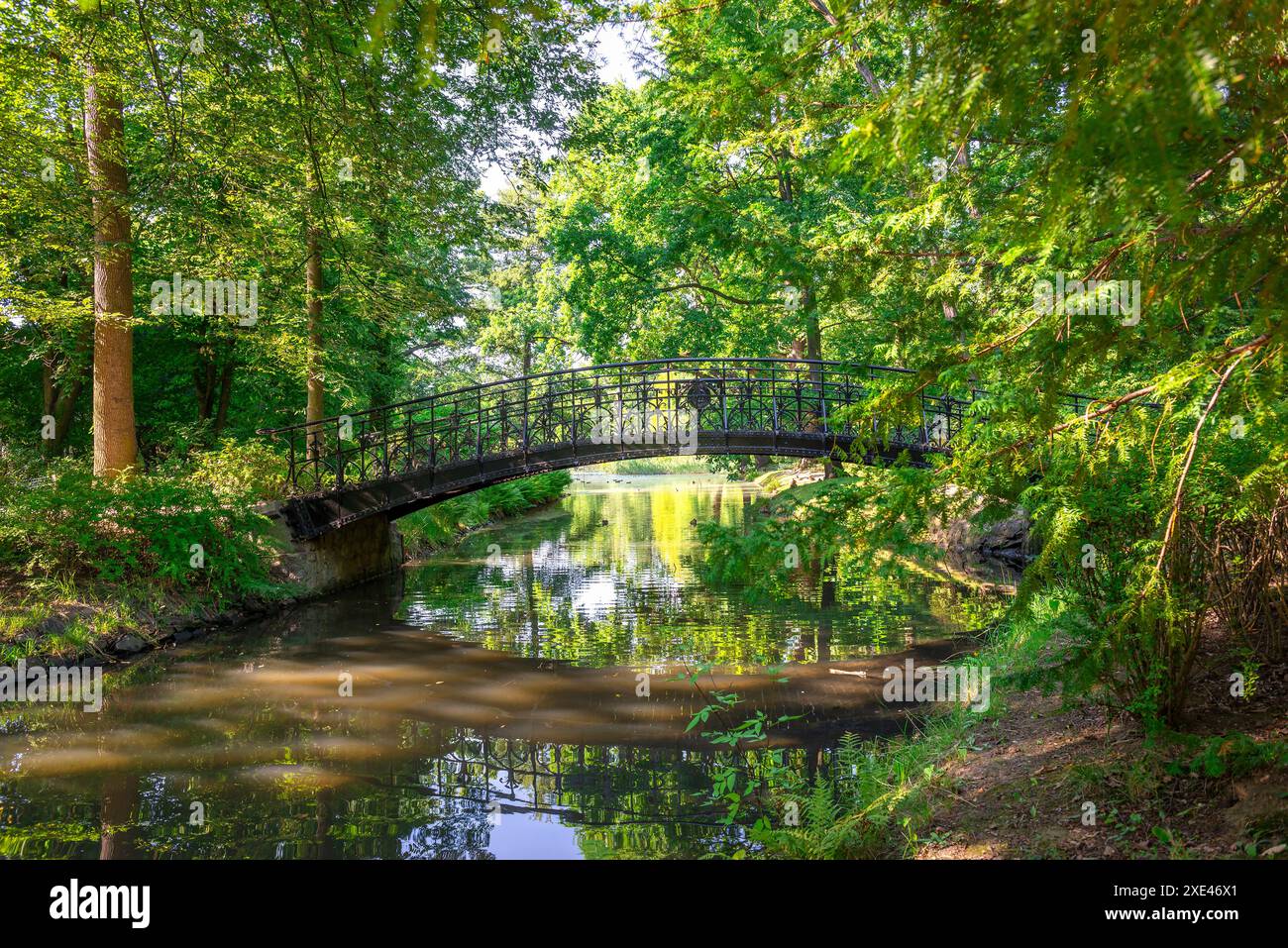 Bridge over duck pond public hi-res stock photography and images - Alamy