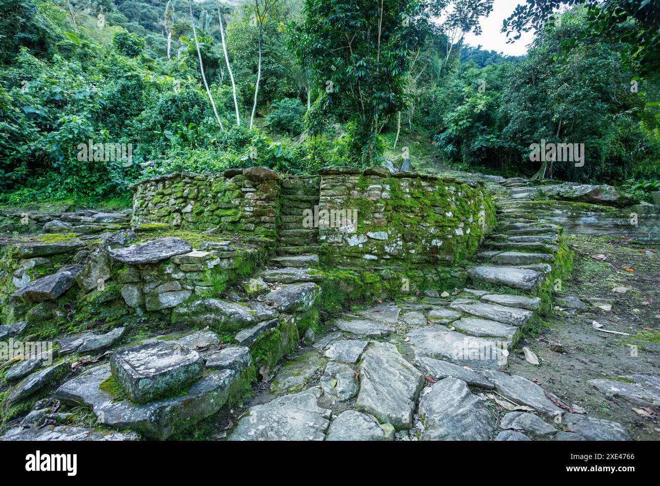 Hidden ancient ruins of Tayrona civilization Ciudad Perdida in the ...